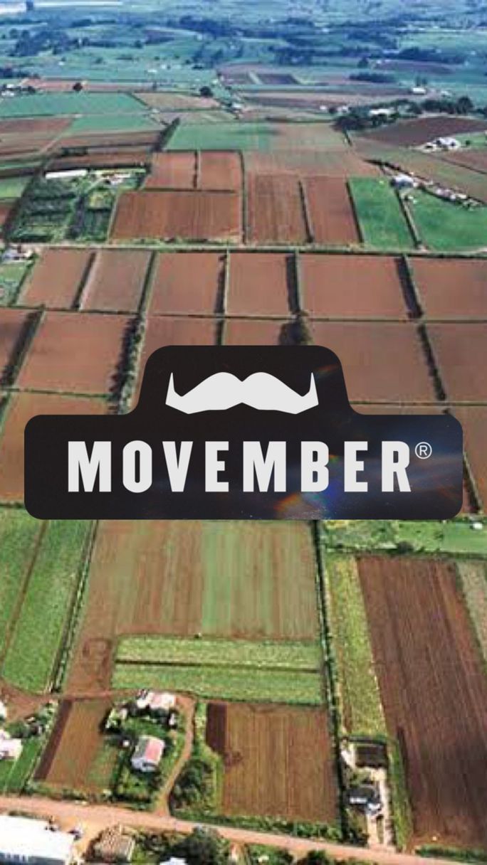 Movember - Team